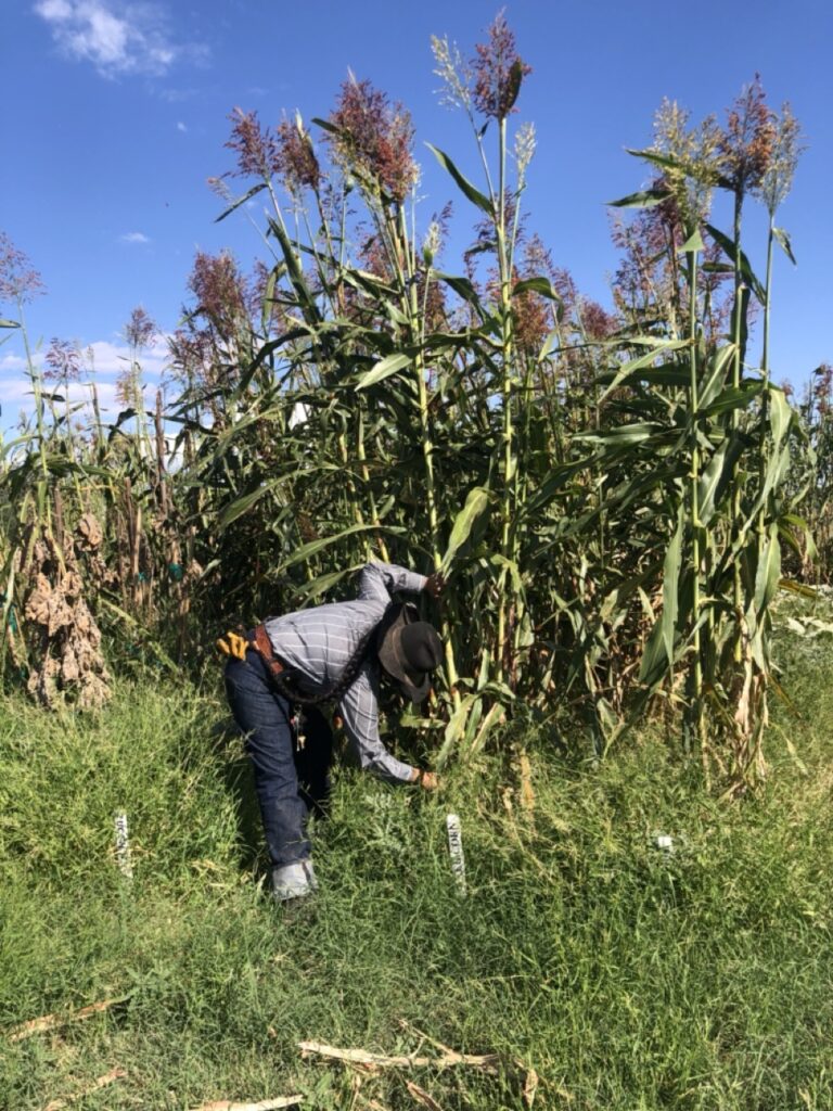 Partnership Spotlight: The Community Engineering Corps and Nalwoodi ...